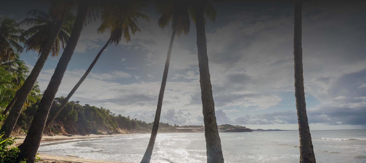 How To Use CMA For Effective Home Pricing In Puerto Rico Puerto Rico How To Use CMA For Effective Home Pricing In Puerto Rico Puerto Rico